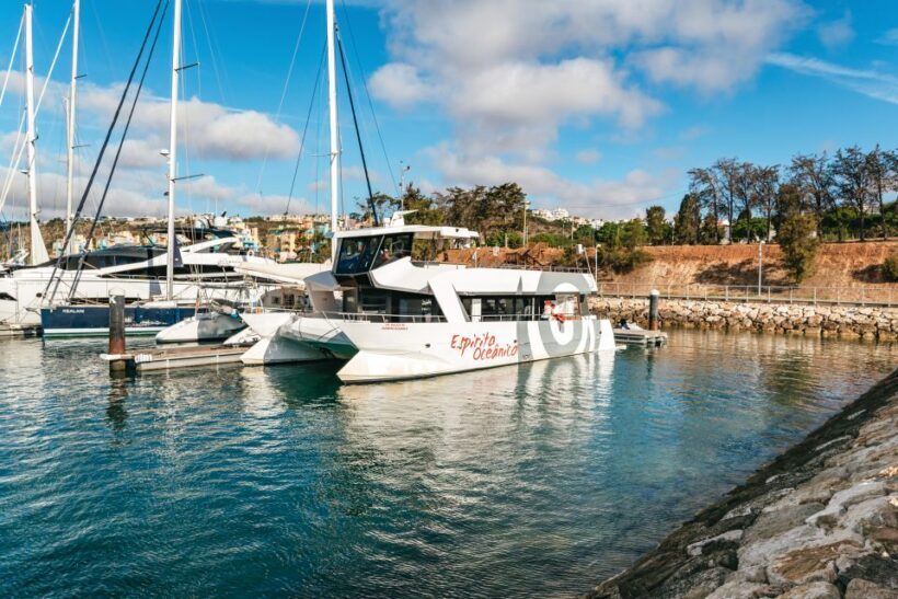 Albufeira: Sightseeing Cruise with Beach BBQ and Open Bar - Final Words: Who Will Love This Experience?