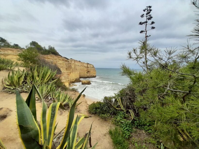 Albufeira: Silves Castle, Marinha Beach, and Benagil - Key Points