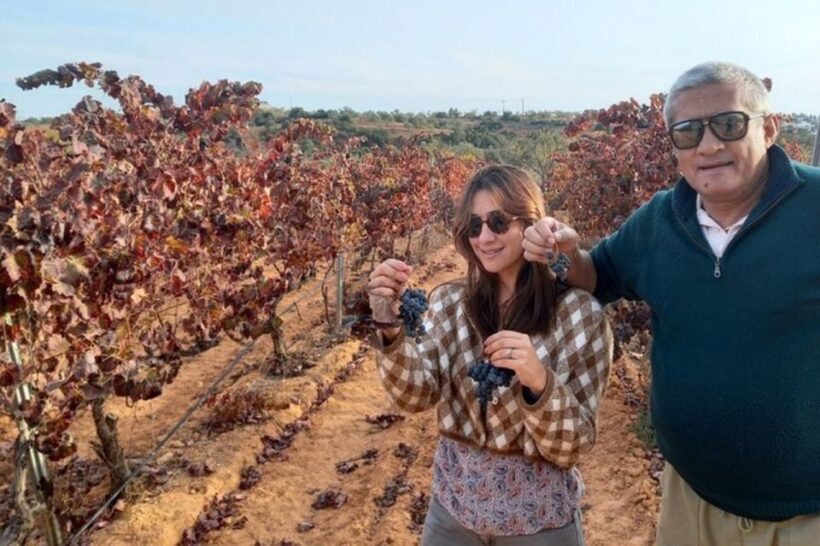 Albufeira/Vilamoura: Winery Tour with Wine Tasting and Tapas - Transportation and Timing