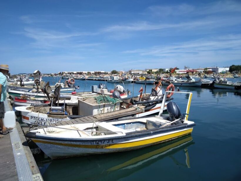 Albufeira - Visit Olhão & Culatra Island with lunch included - Final Thoughts: Is This Tour Worth It?