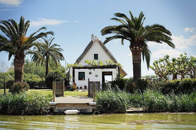 Albufera Natural Park with a Boat Tour from Valencia - Who Should Consider This Tour?