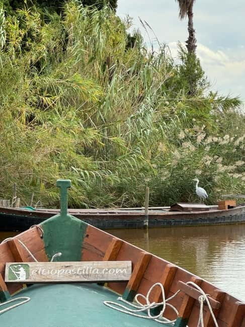 Albufera of Valencia: Guided boat ride around the Albufera - Key Points