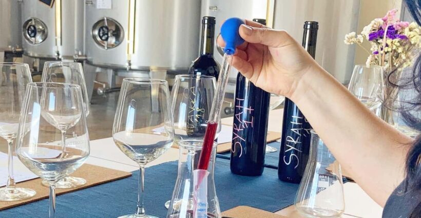 Alcamo: Create your personal blend of wine - A Closer Look at the Experience