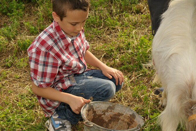 Alcamo Farm Animals and Aromatic Garden - Feeding and Petting the Animals
