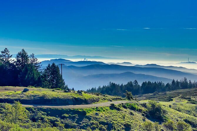 Alcatraz Day Tour and Aquarium with Muir Woods and Sausalito Tour - Day 2: Evergreen Redwoods, Coastal Charm & Artistic Streets