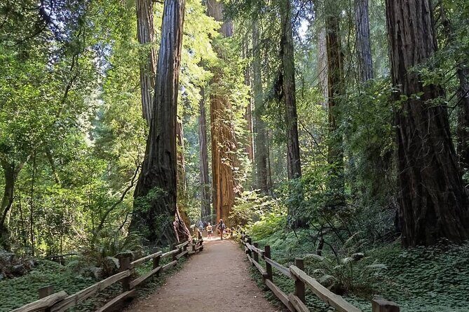 Alcatraz Night Tour & Muir Woods-Sausalito Afternoon or Morning - FAQs