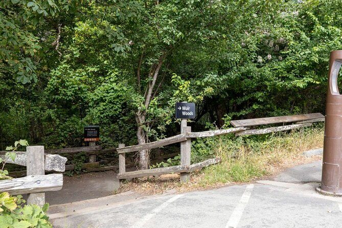 Alcatraz with Muir Woods and Sausalito Tour - A Deep Dive into the Tour Experience