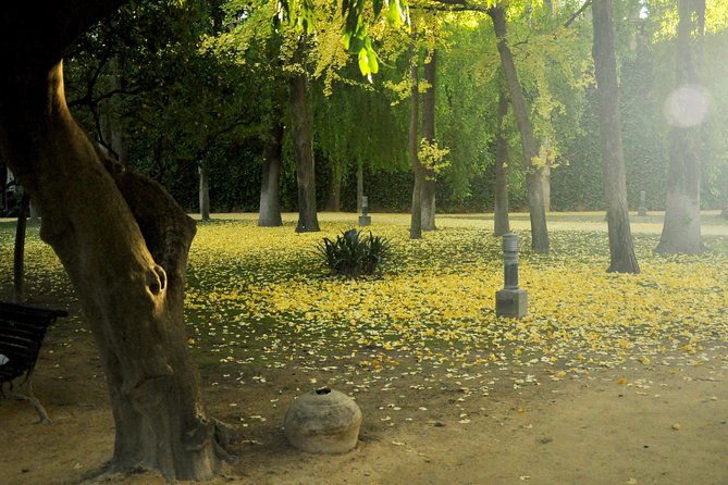 Alcazar and Cathedral Combo Tour - Key Features