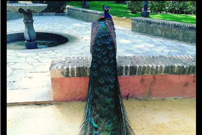 Alcazar and Cathedral of Seville Private Tour - Personalized Attention and Expertise