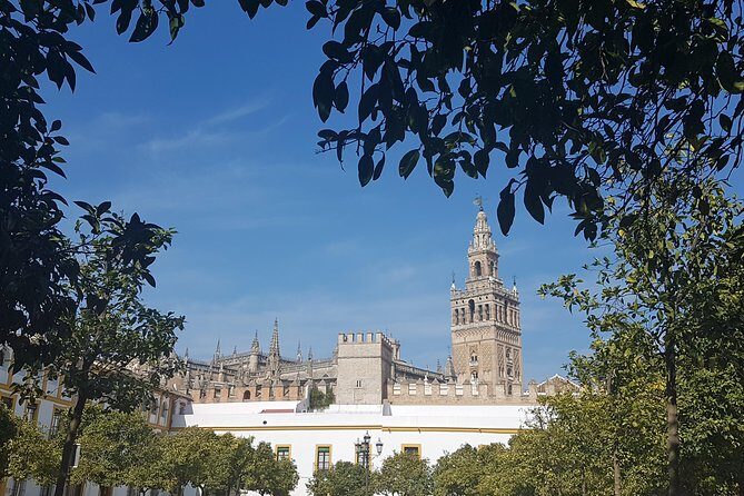 Alcazar and Cathedral of Seville Tour with Skip the Line Tickets - What the Reviews Tell Us