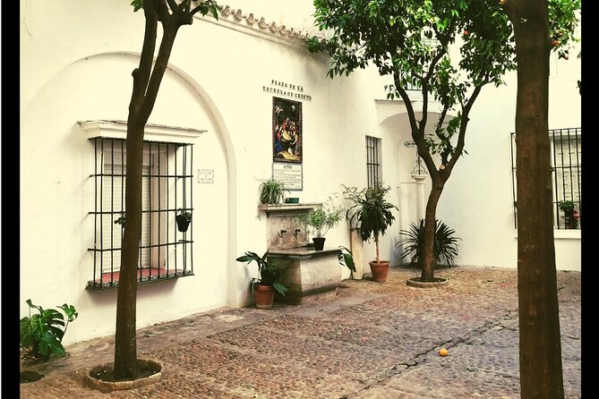 Alcazar, Cathedral And Santa Cruz Private Tour - Who Is This Tour Best For?