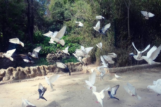 Alcazar, Cathedral, Plaza De España And Maria Luisa Park Private Tour - Final Thoughts: Is This Tour Right for You?