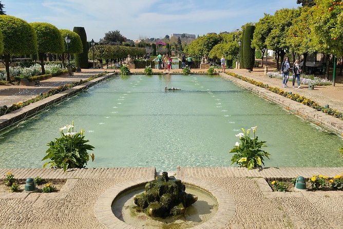 Alcazar of Cordoba Small Group Tour With Skip the Line Ticket - Visitor Experiences