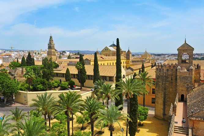 Alcazar of Cordoba Small Group Tour With Skip the Line Ticket - Recommendations and Feedback