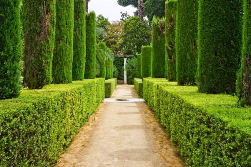 Alcazar of Seville VIP Tour - The Experience: What’s Included and What to Expect