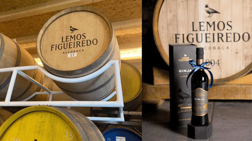 Alcobaça: Visit to the Lemos Figueiredo Winery and Distillery - Discovering the Lemos Figueiredo Winery and Distillery