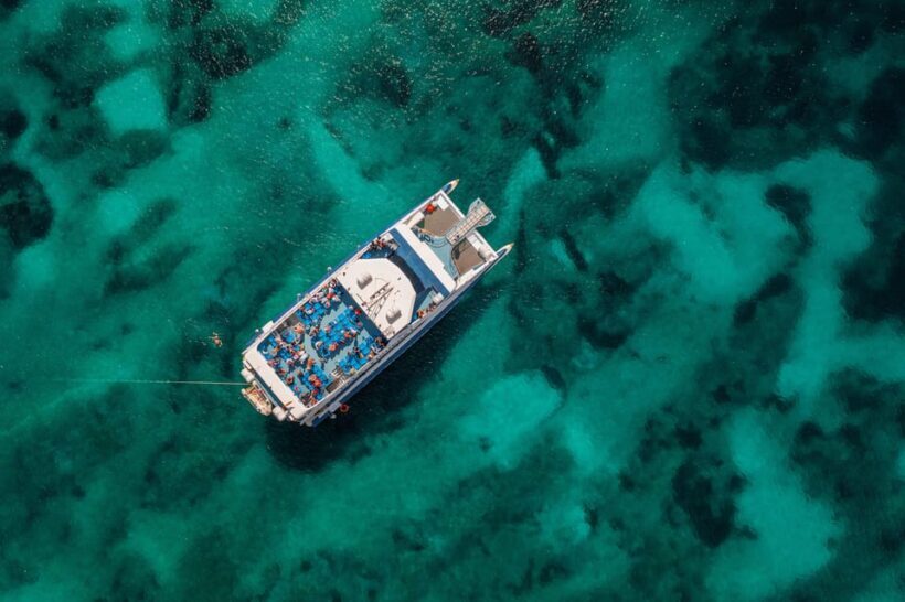 Alcudia: Boat Trip to Coll Baix - What to Expect from the Alcudia Boat Trip
