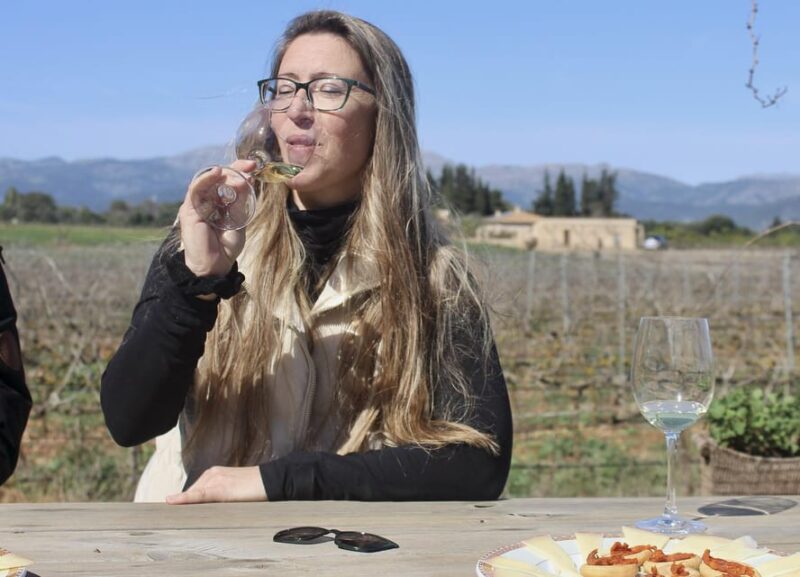 Alcúdia/Can Picafort: Guided Vineyard Visit and Wine Tasting - Who Will Love This Experience?