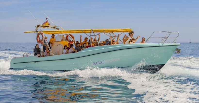 Alcudia: Coll Baix Beach & Sea Caves Cruise with Snorkeling - An In-Depth Look at the Experience