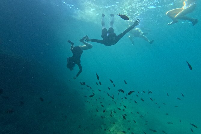 Alcudia: Guided Sea Kayaking & Snorkelling Tour (Day & Sunset) - Safety Measures and Equipment Provided