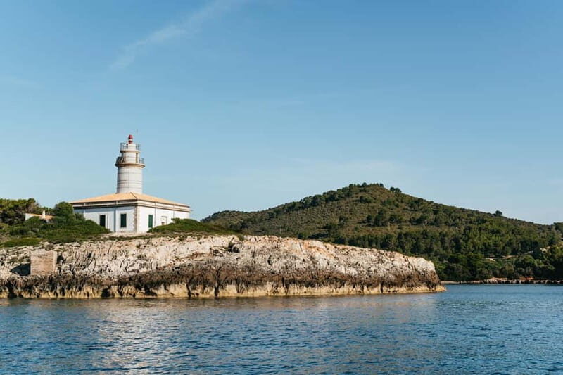 Alcudia or Can Picafort: Dolphin-Watching Cruise - Practical Tips for Travelers