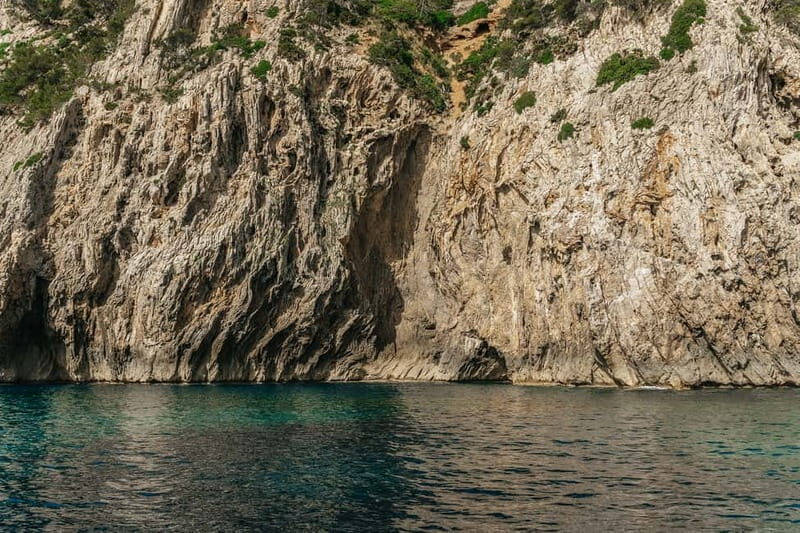 Alcudia or Can Picafort: Dolphin-Watching Cruise - Authentic Experiences from Travelers