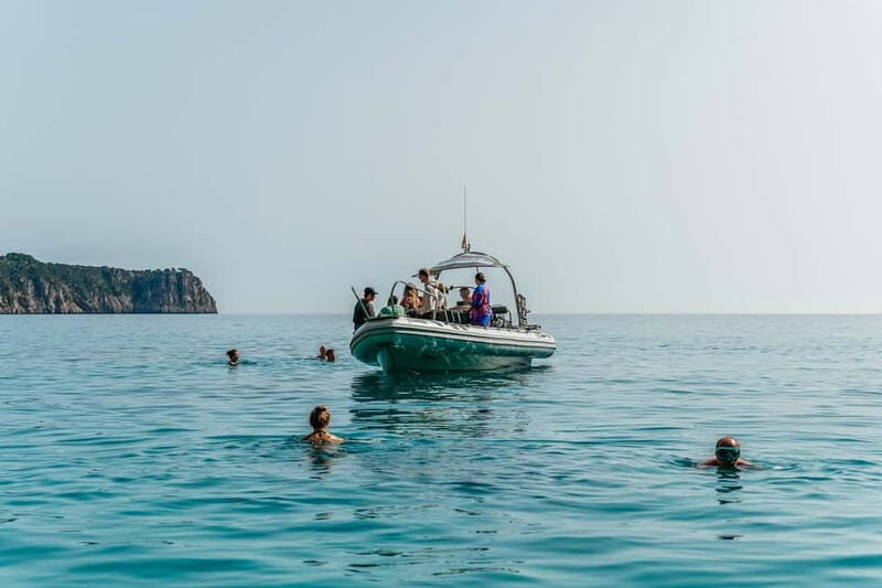 Alcudia or Can Picafort: Dolphin-Watching Cruise - Final Thoughts: Is This Tour for You?