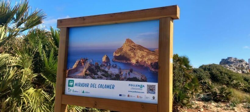 Alcudia: Quad Sightseeing Tour with Viewpoint and Beach - Who Will Love This Tour?