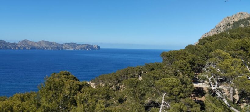 Alcudia: Quad Sightseeing Tour with Viewpoints - The Guides and the Experience
