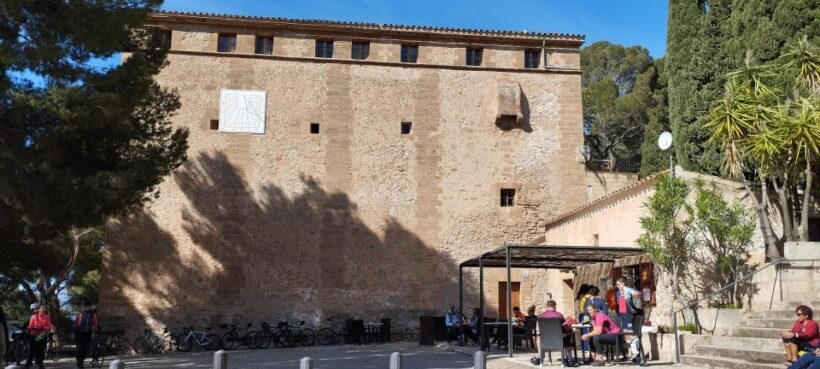 Alcudia: Quad Sightseeing Tour with Viewpoints - Who Should Consider This Tour?