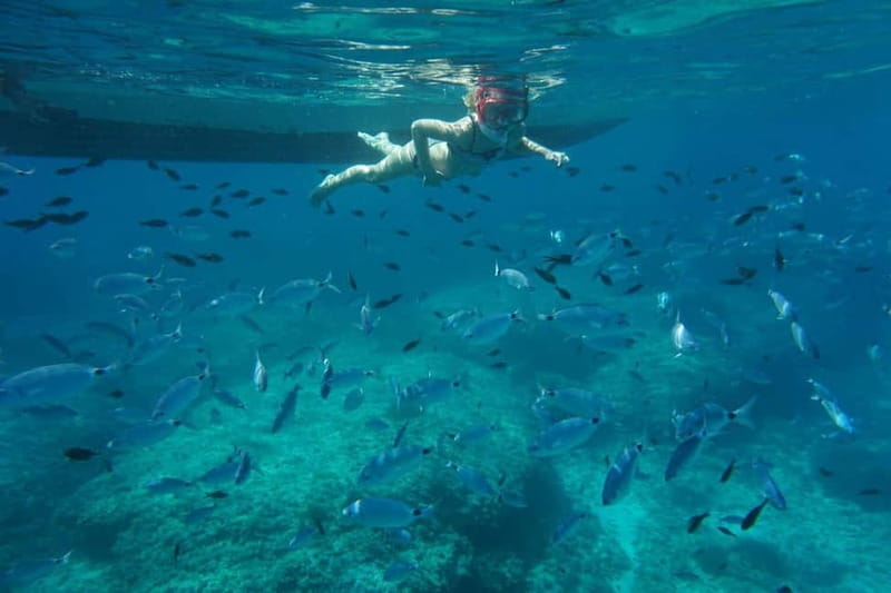 Alcudia: Sea Caves Coves and Snorkeling in small groups - Who Should Consider This Tour?