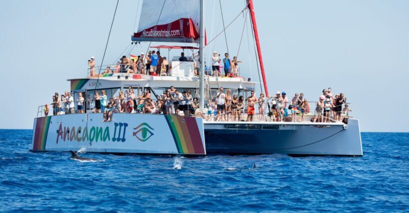 Alcudia: Sunset Catamaran Tour with Dinner and Snorkeling - Key Points