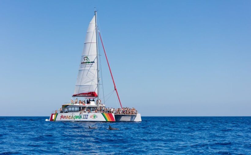 Alcudia: Sunset Catamaran Tour with Dinner and Snorkeling - What Travelers Say About the Tour