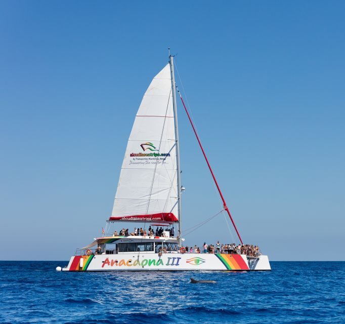 Alcudia: Sunset Catamaran Tour with Dinner and Snorkeling - FAQ