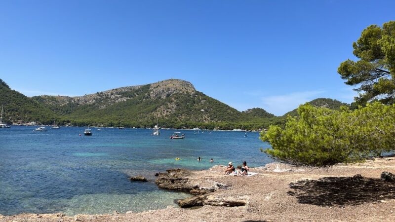 Alcudia: Traditional Wooden Boat Trip with Snorkeling - Who Will Love This Tour?
