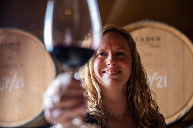 Alcudia Winecellar Tour with Vineyard Visit, Tasting of 5 Wines - Who This Tour Is Best For