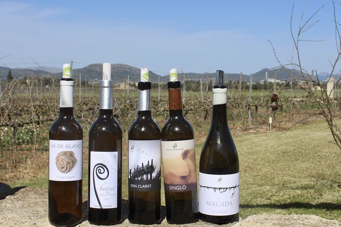 Alcudia Winecellar Tour with Vineyard Visit, Tasting of 5 Wines - Practical Tips for Visitors
