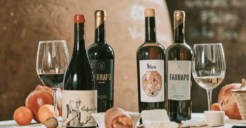 Alentejo: Visit and Taste the tradition of Talha Wines - An In-Depth Look at the Tour