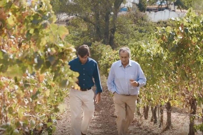 Alentejo Wine Tour From Évora - Inclusions and Accessibility Features