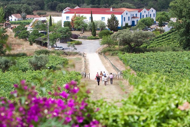 Alentejo Wine Tour From Évora - Meet Your Local Guides
