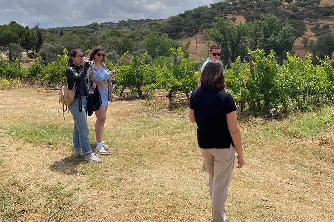 Alentejo Wine Tour From Évora - Why Choose a Small Group Tour