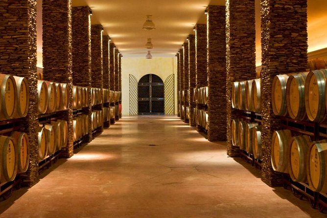 Alentejo Wine Tour from the Algarve - A Scenic Journey to Portugal’s Wine Heartland