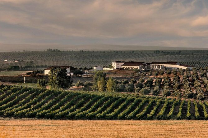 Alentejo Wine Tour from the Algarve - Second Winery: Herdade da Malhadinha Nova