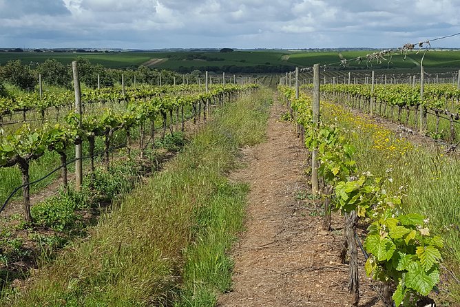 Alentejo Wine Tour from the Algarve - The Sum Up