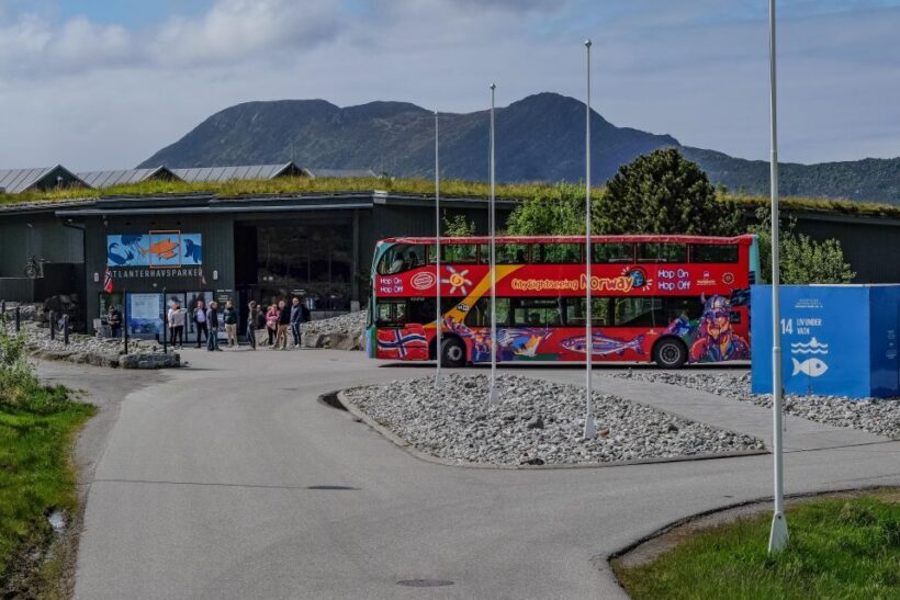 Alesund: City Sightseeing Hop-On Hop-Off Bus Tour - Authentic Insights from Travelers