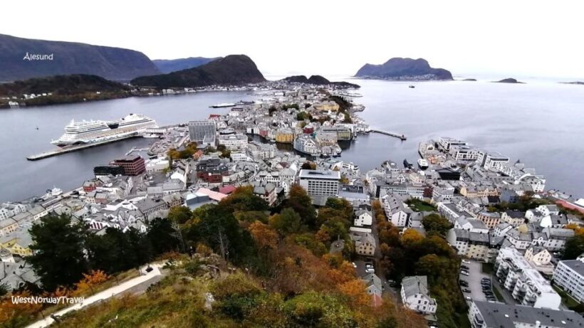 Ålesund: Giske and Godøy Islands Guided Sightseeing Tour - What We Think About the Price and Value