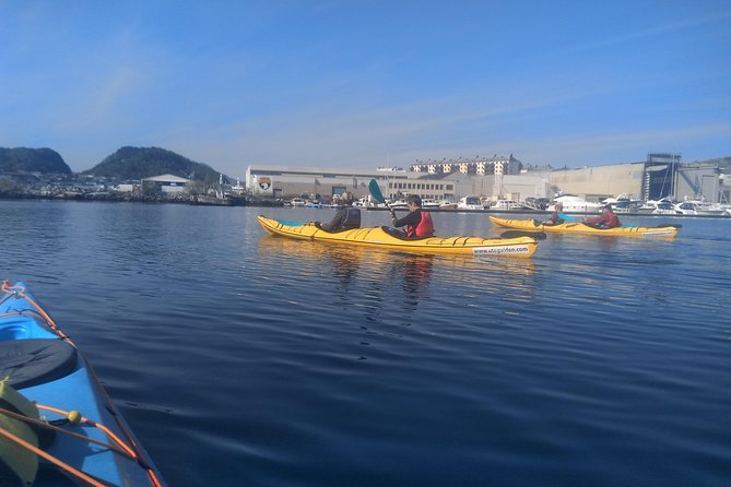Ålesund Round Trip  A Great Kayak Adventure - Authentic Reviews and What Travelers Say