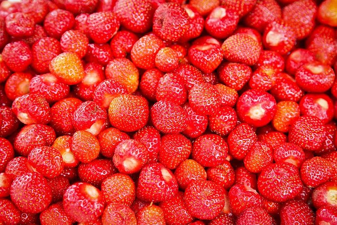 Alesund Shore Excursion: From Fjords to Trolls - FAQ