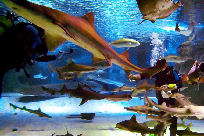 Alexander Waterfall and Antalya Aquarium Day Tour from Side - The Sum Up