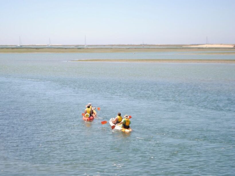 Algarve: 2-Hour Ria Formosa Kayak Tour from Faro - Discovering the Ria Formosa on a Kayak